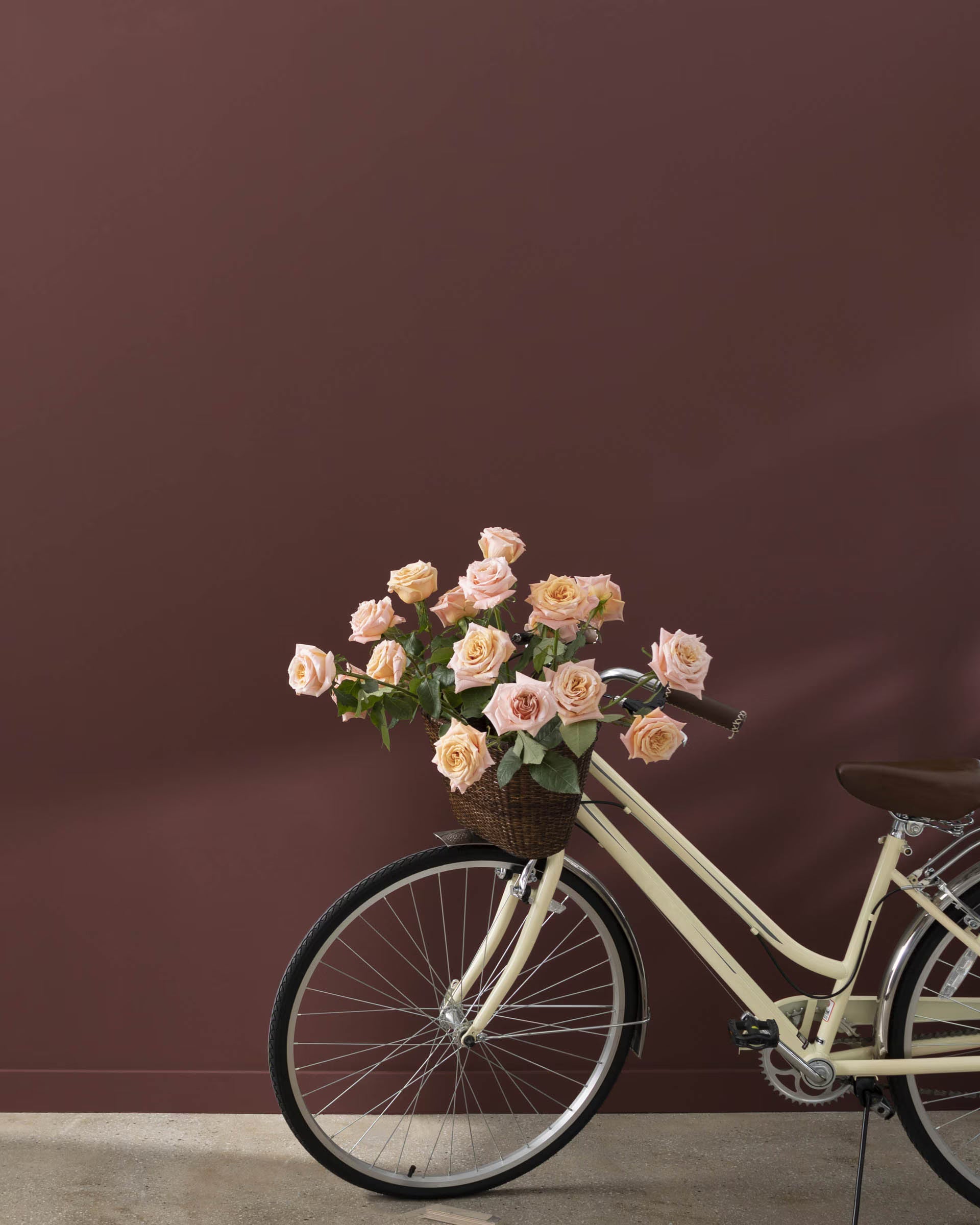 Designer Classics – The Essence of Colour Inc.